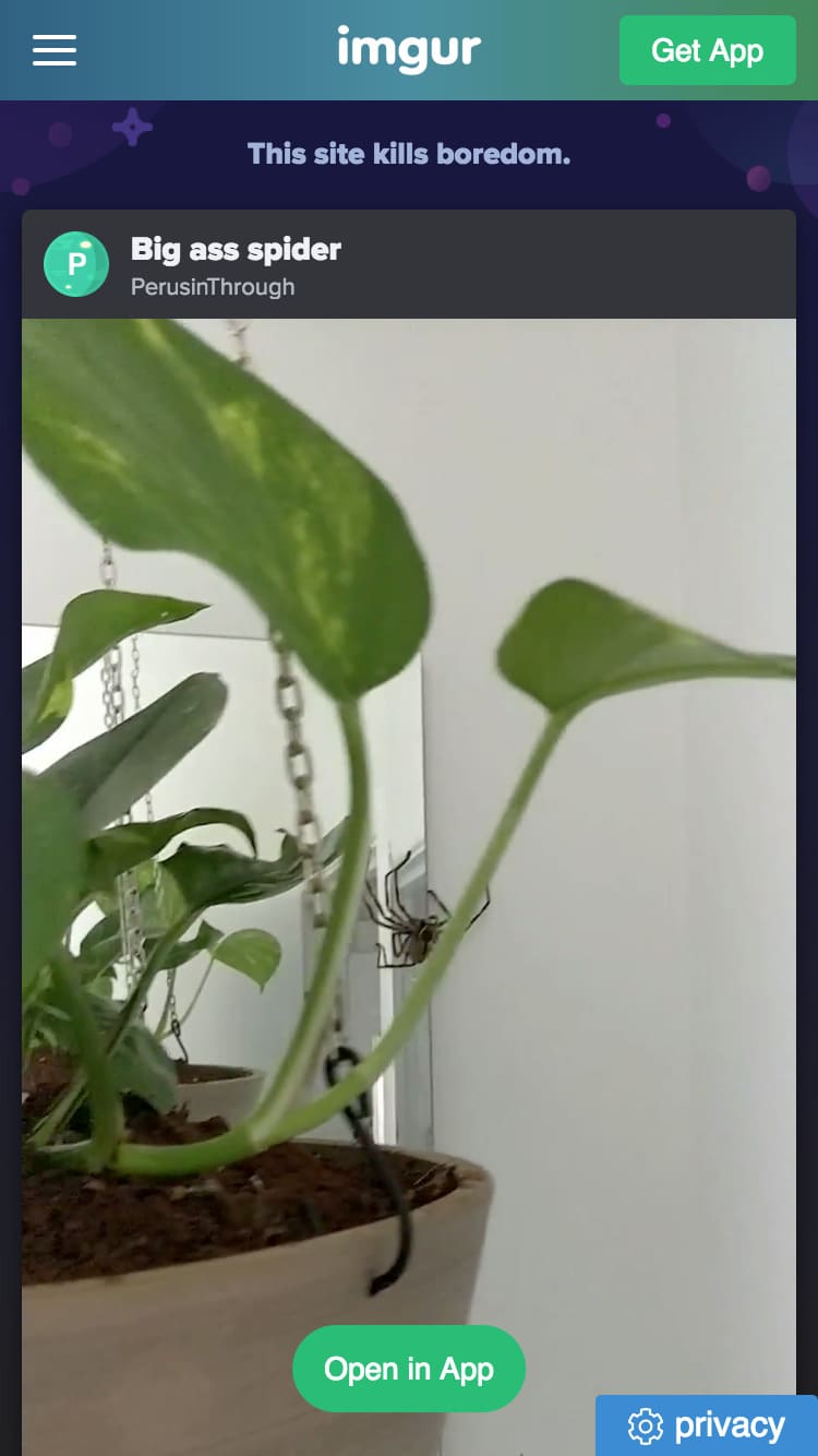 Progressive Web App Room - The best examples of pwa